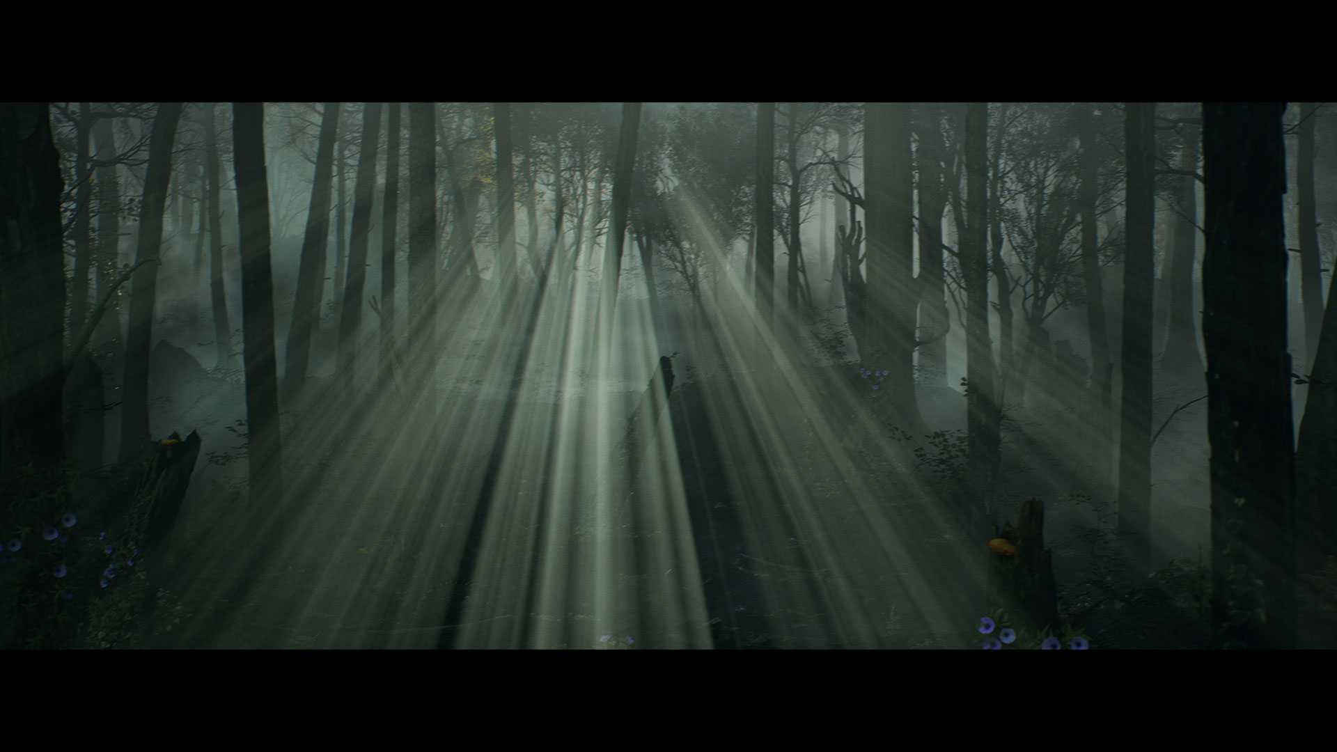 Rebirth1 - 墨化MOTZIFY