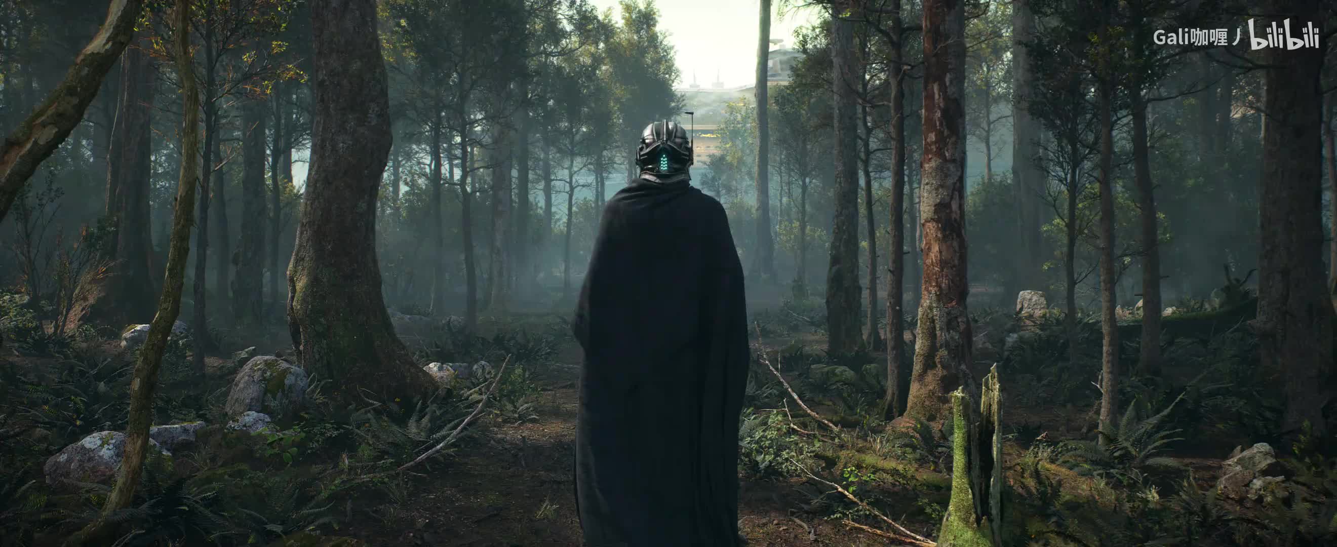 森林练习 - 墨化MOTZIFY